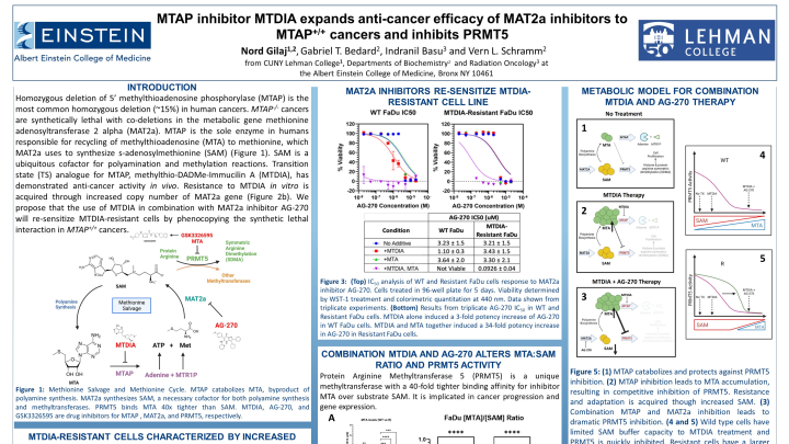 MTAP inhibitor MTDIA expands anti-cancer efficacy of MAT2a inhibitors ...