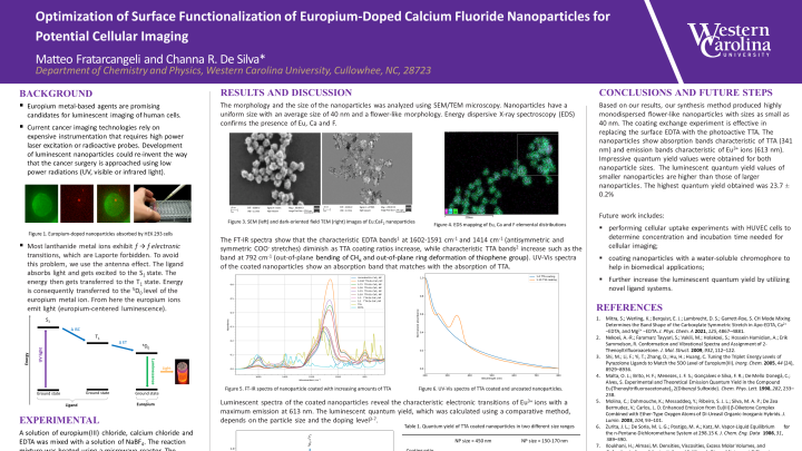 Optimization of surface functionalization of europium-doped calcium ...