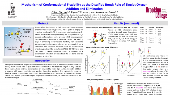 Mechanism of conformational flexibility at the disulfide bond: Role of ...