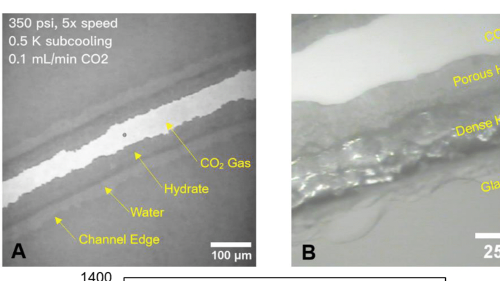 Measurement of carbon dioxide hydrate film thickening in a microfluidic ...