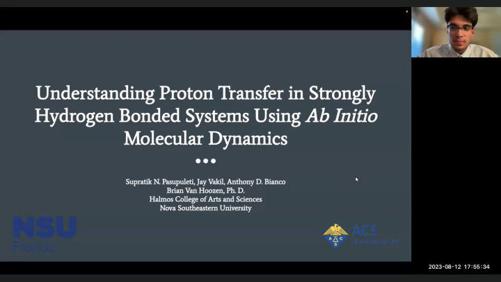 Understanding proton transfer in strongly hydrogen bonded systems using ...
