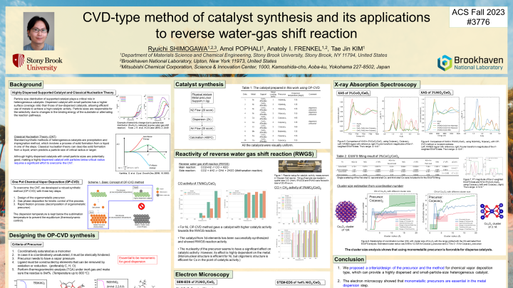 CVD-type method of catalyst synthesis and its applications to reverse ...