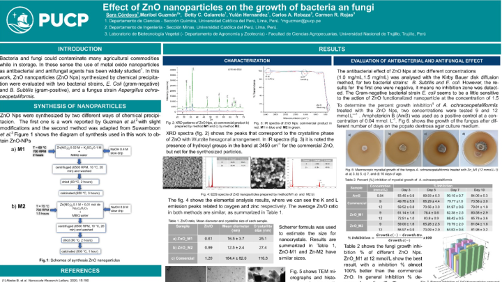 Effect of ZnO nanoparticles on the growth of bacteria and fungi ...
