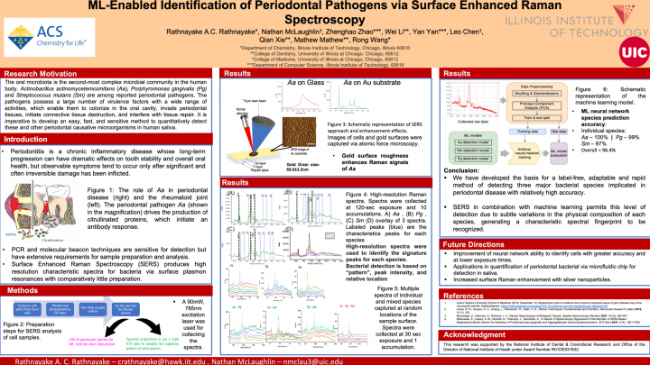 ML-enabled identification of periodontal pathogens via surface enhanced ...