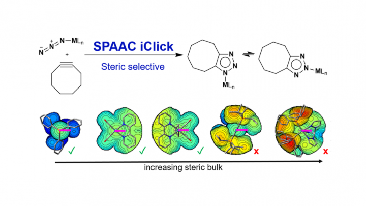 New Approach To Bioconjugation By Combining Strain Promoted Azide Alkyne Cycloaddition Spaac