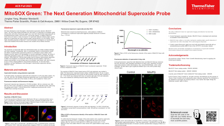 MitoSOX green: The next generation mitochondrial superoxide probe ...