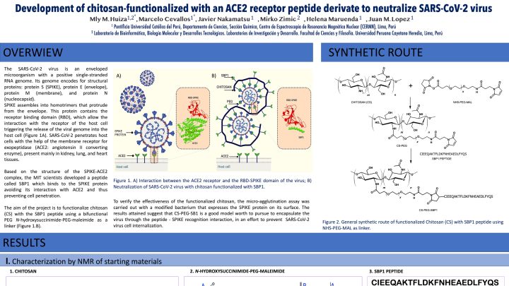 Development of chitosan-functionalized with and ACE2 receptor derived ...