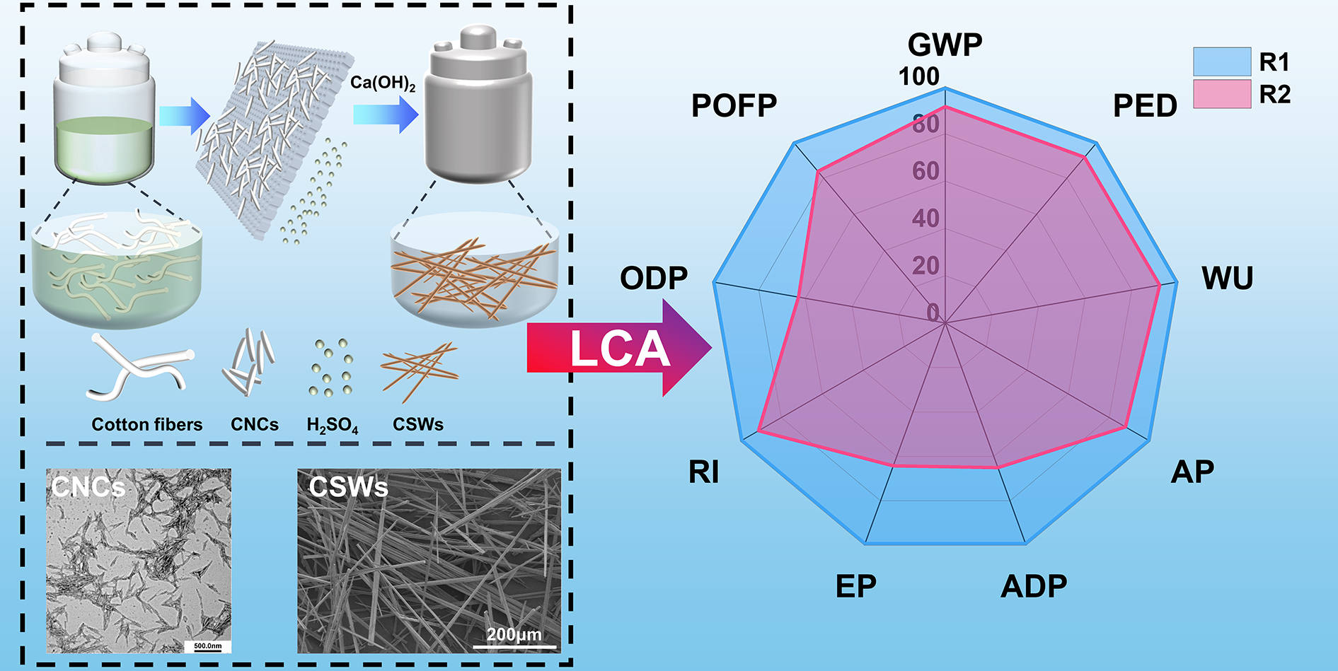 Greener production of cellulose nanocrystals: Process design and life ...