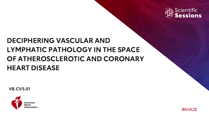 Deciphering Vascular and Lymphatic Pathology in the Space of ...