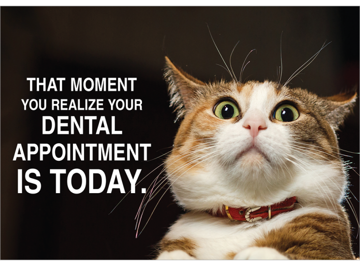 Your Dental Appointment is Today Laser Card - American Dental Association