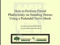 How to Perform Standing Partial Phallectomy in Horses Using a Pudendal ...