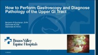 How to Perform Gastroscopy and Diagnose Pathology of the Upper ...