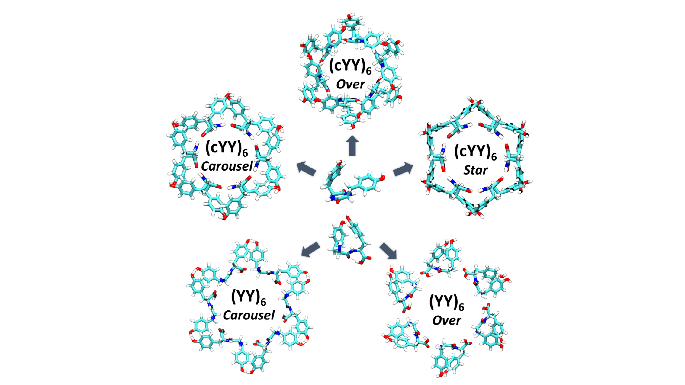 Thermodynamics and interactions in stackable aromatic dipeptide oligomeric ring structures ...