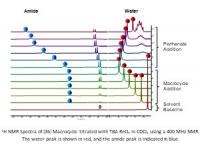 Solid state crystallographic and solution NMR snapshots of hydration in ...