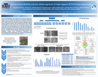 Schinus terebinthifolius extracts inhibit migration of triple-negative ...