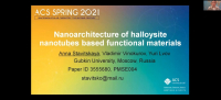 Nanoarchitecture of functional materials based on halloysite nanotubes ...