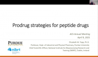 Prodrug strategies for peptide drugs - American Chemical Society