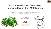 Bio-inspired nickel complexes supported by an iron-metalloligand ...
