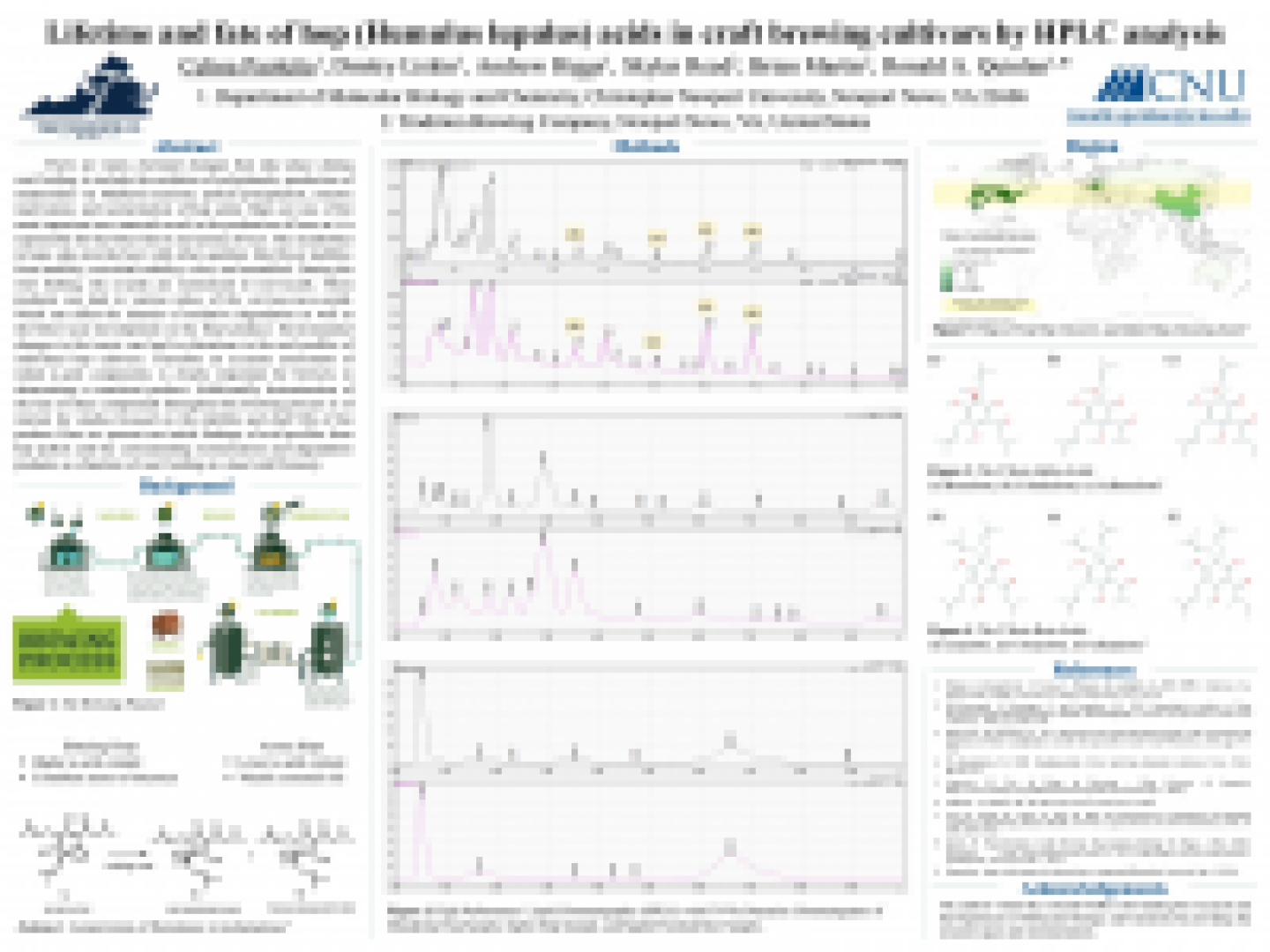 Lifetime and fate of hop (Humulus lupulus) acids in craft brewing ...