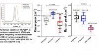Diyne based Raman and clickable probes for proximity-dependent proteomic labeling - American ...
