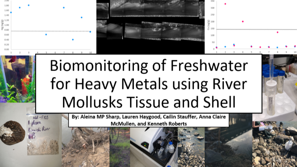 Biomonitoring of freshwater for heavy metals using river mollusk soft ...