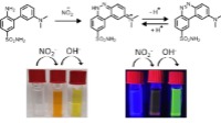 Reactivity-based nitrite probe: Intra molecular Griess test molecule ...