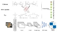Portable food-freshness recognition platform based on MOF-enhenced ...