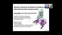 Dynamic mechanism of allosteric modulation of adenosine A1 receptor - American Chemical Society