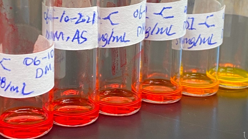 Mapping spectral-structure relationships of crystal packing in PDI thin ...