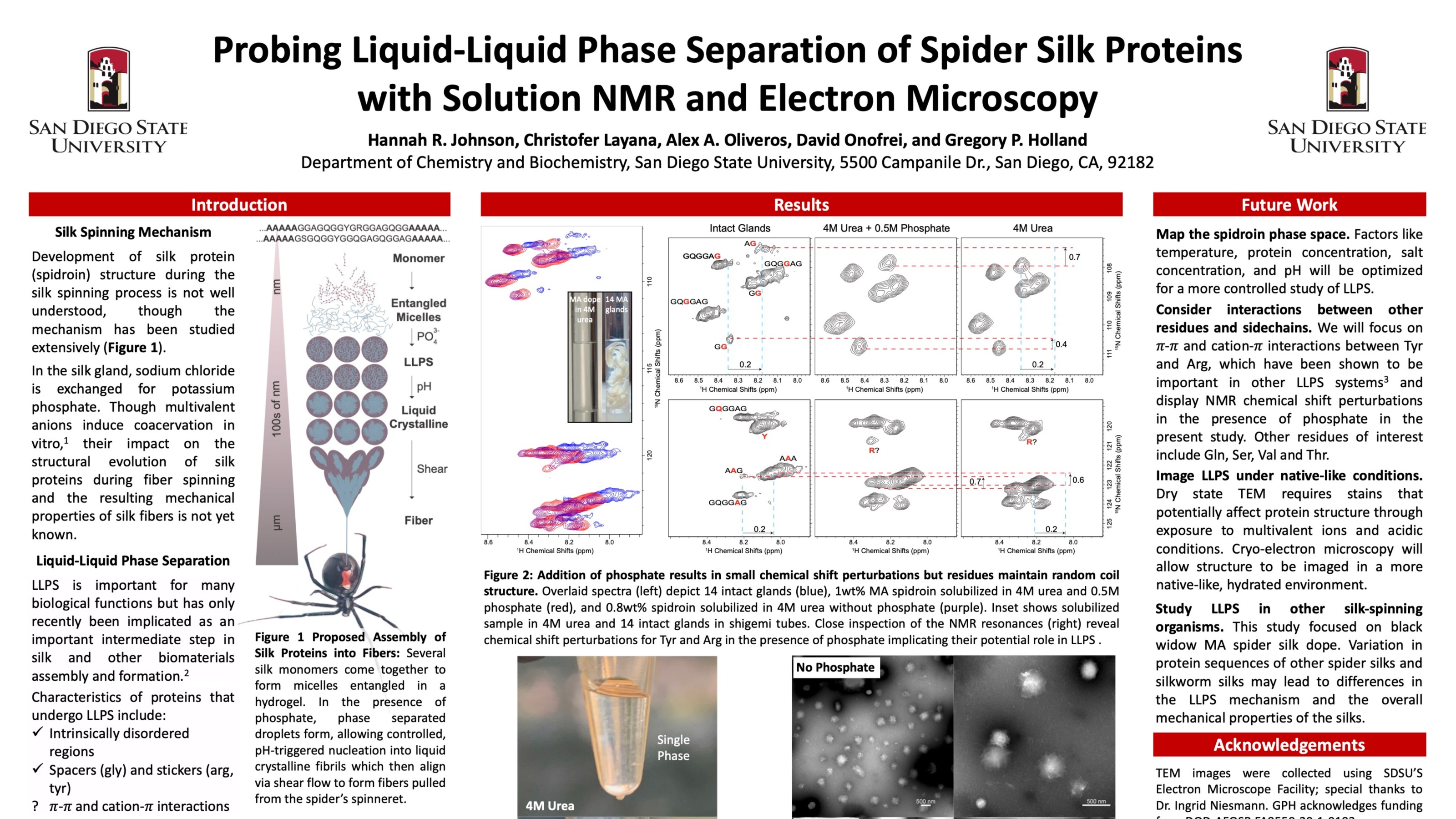Probing the liquid-liquid phase separation of spider silk proteins with ...