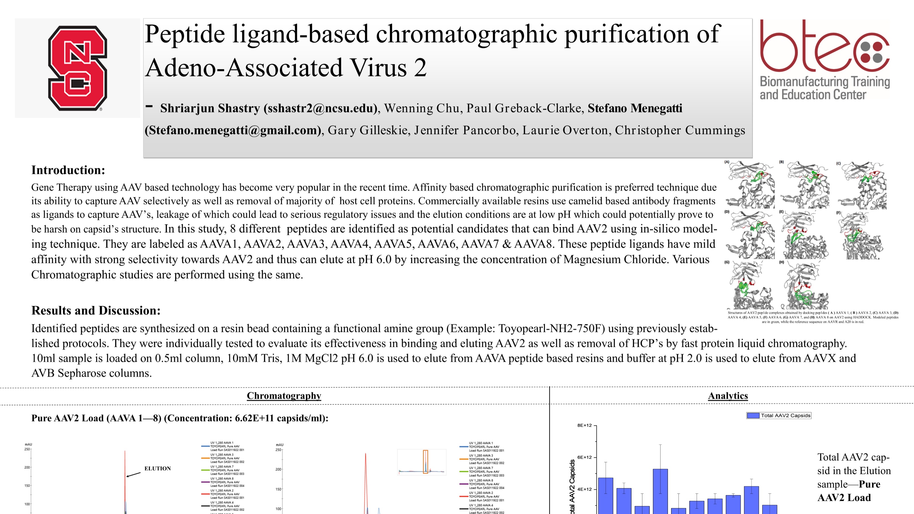 Peptide ligand-based chromatographic purification of adeno-associated ...