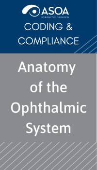 Anatomy of the Ophthalmic System - American Society of Ophthalmic ...