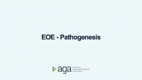EOE - PATHOGENESIS - American Gastroenterological Association