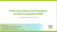 Performing Ultrasound Evaluations on Aorta Endografts (EVAR ...