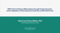 PROP1 Directs Pituitary Differentiation through Protein Interaction and ...