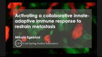 Activating a Collaborative Innate-Adaptive Immune Response to Control ...
