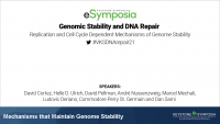 Mechanisms that Maintain Genome Stability - Keystone Symposia