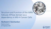 Short Talk: Structure and Function of the WRN Helicase ATPase Domain as ...