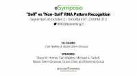 "Self" vs "Non-Self" RNA Pattern Recognition - Keystone Symposia