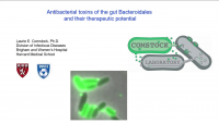 Antibacterial Toxins of the Gut Bacteroidales and Their Therapeutic ...