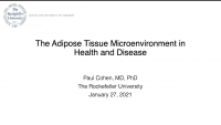 The Adipose Tissue Microenvironment in Health and Disease - Keystone ...