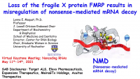 Loss of Fragile X Protein Results in Misregulation of Nonsense-Mediated ...