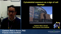 Cytoskeletal Exposure as a Sign of Cell Damage - Keystone Symposia