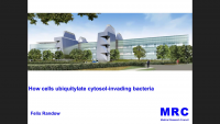 How Cells Ubiquitylate Cytosol-Invading Bacteria - Keystone Symposia