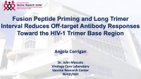 Short Talk: Fusion Peptide Priming and Long Trimer Interval Reduces Off ...