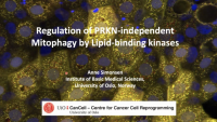 Selective Autophagy Pathways - Keystone Symposia