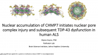 Short Talk: Nuclear Accumulation of CHMP7 Initiates Nuclear Pore ...