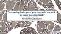 The Evolving Challenges of Gene Targeted Therapeutics for SMA ...