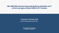 INO-4800 DNA Vaccine Induces Neutralizing Antibodies and T cell ...