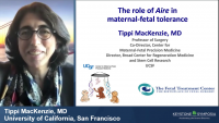 Fetal-Maternal Tolerance. Mechanisms, Problems (Answer: Local or ...